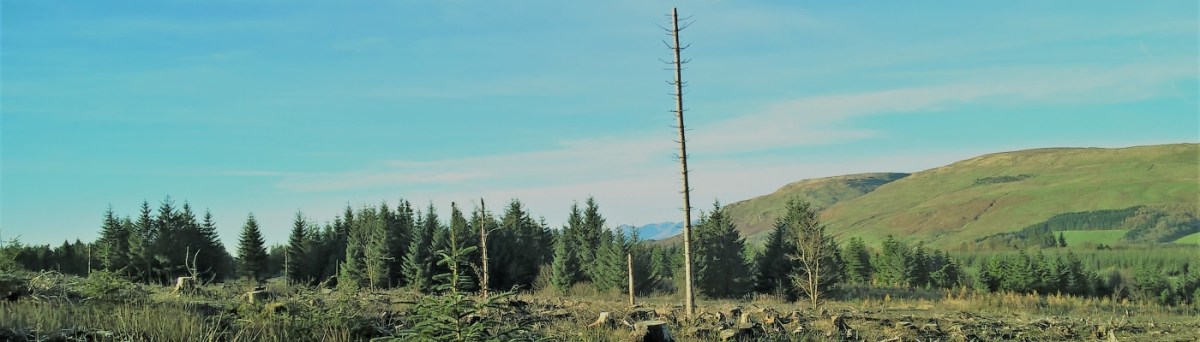 Contact – Andy Craig